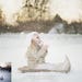 Winter Photoshop Actions, CTR Frozen Collection, Winter Inspired ...