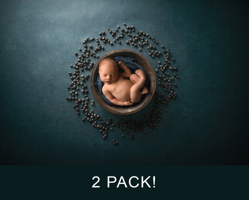 Blueberry Themed Newborn Digital Backdrops Berry 2 Pack | Etsy
