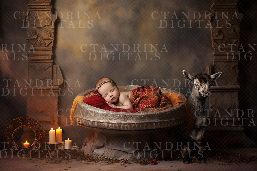 Baby Gypsy Newborn Digital Backdrop, Baby Goat Newborn Digital ...