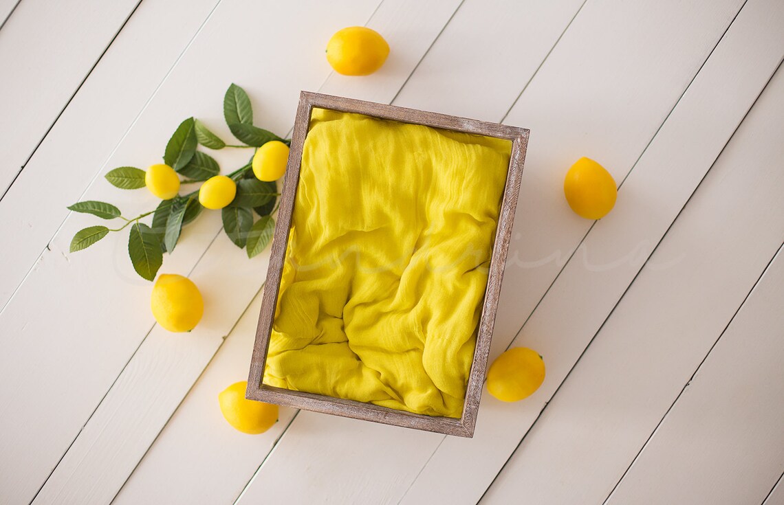 Lemon Themed Newborn Digital Backdrop Lemon Baby Backdrop | Etsy