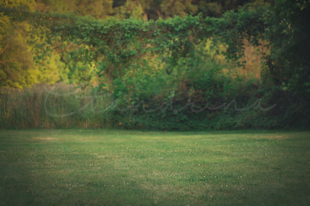 Pretty Hanging Green Vine Digital Backdrop, Greenery Digital Background ...
