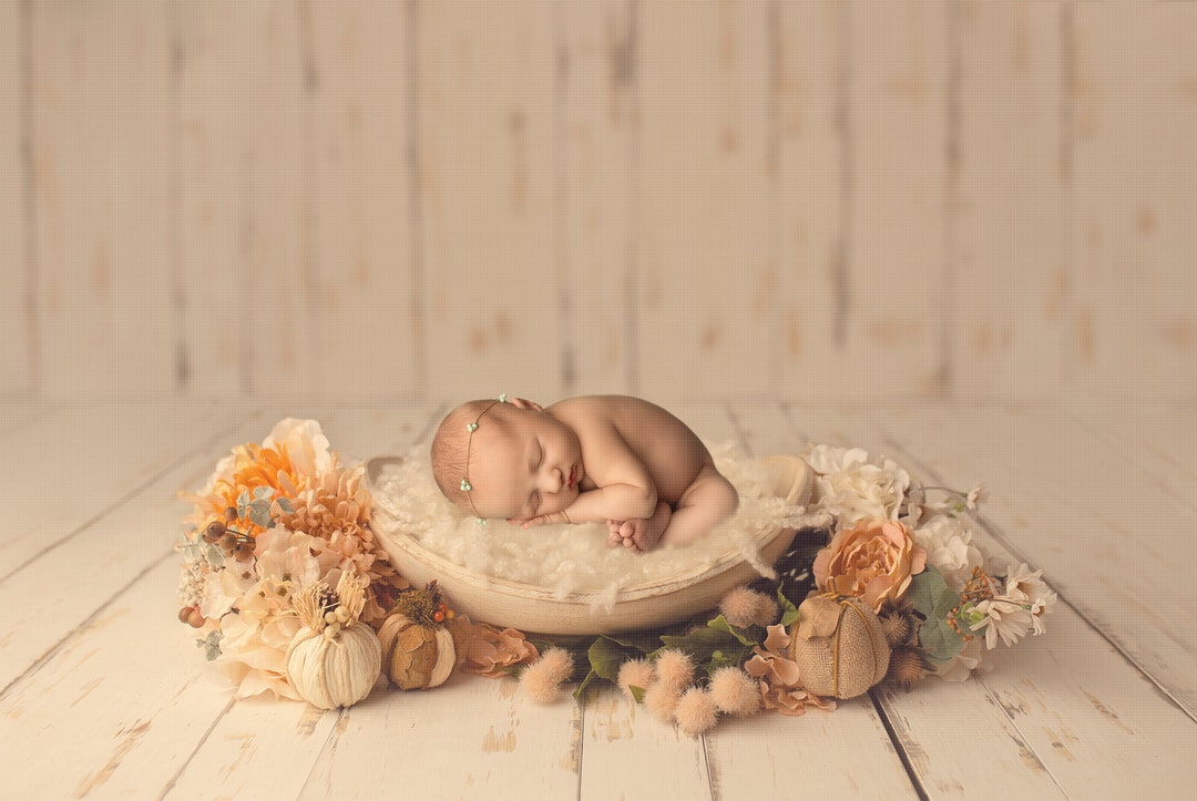 Fall Newborn Digital Backdrop, Autumn Newborn Digital Background ...