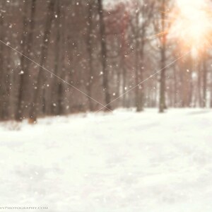 Snowy Golden Light Digital Background, Snowy Woods Image, Winter ...
