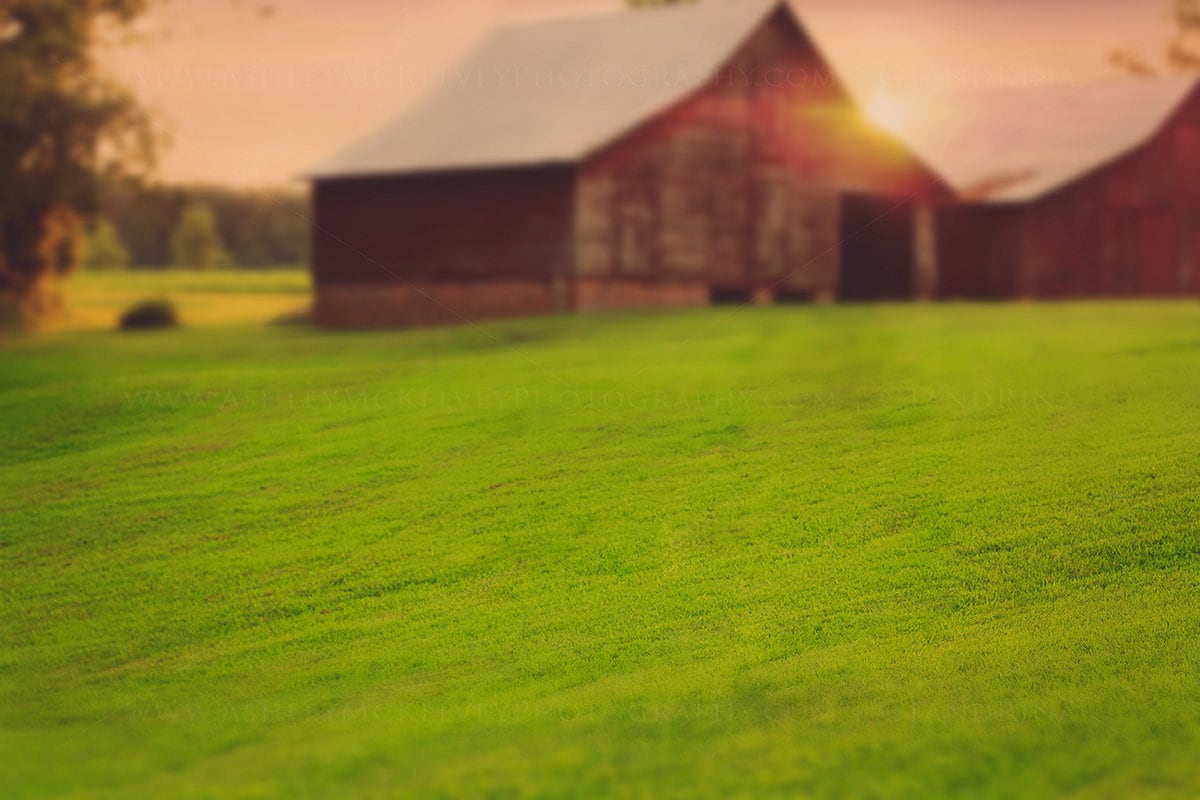 Farm Zoom Background