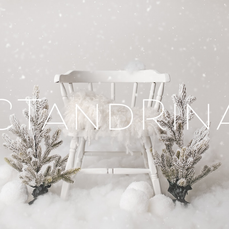 Winter Digital Backdrop - Etsy