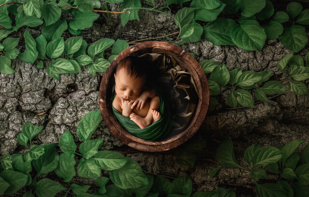 Newborn Digital Backdrop, Forest Newborn Digital Background, Jungle ...