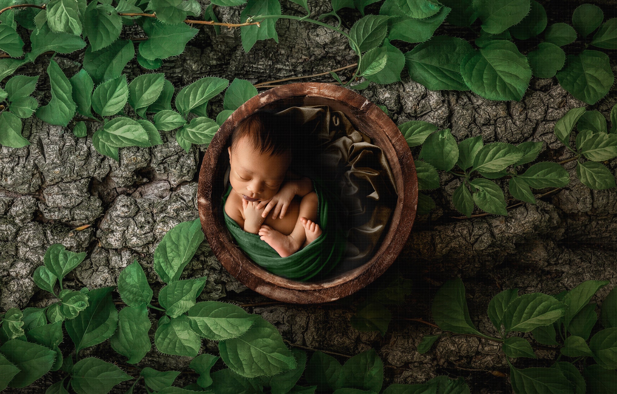 Newborn Digital Backdrop Forest Newborn Digital Background | Etsy