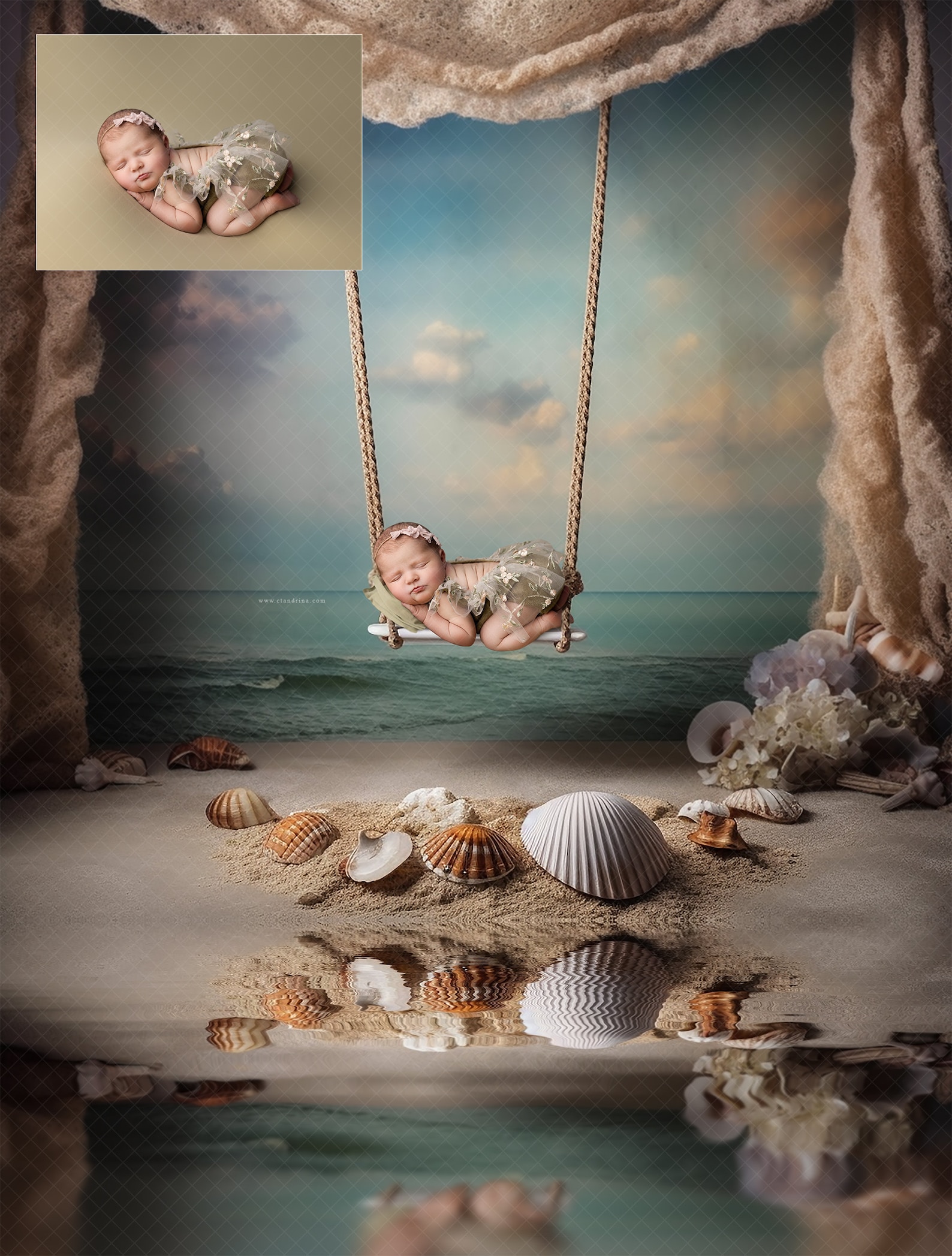 Seashells and Sand Digital Backdrops, Seashell Digital Backdrop ...