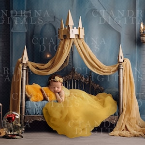 Princess Newborn Digital Backdrop, Princess Castle Baby Background ...