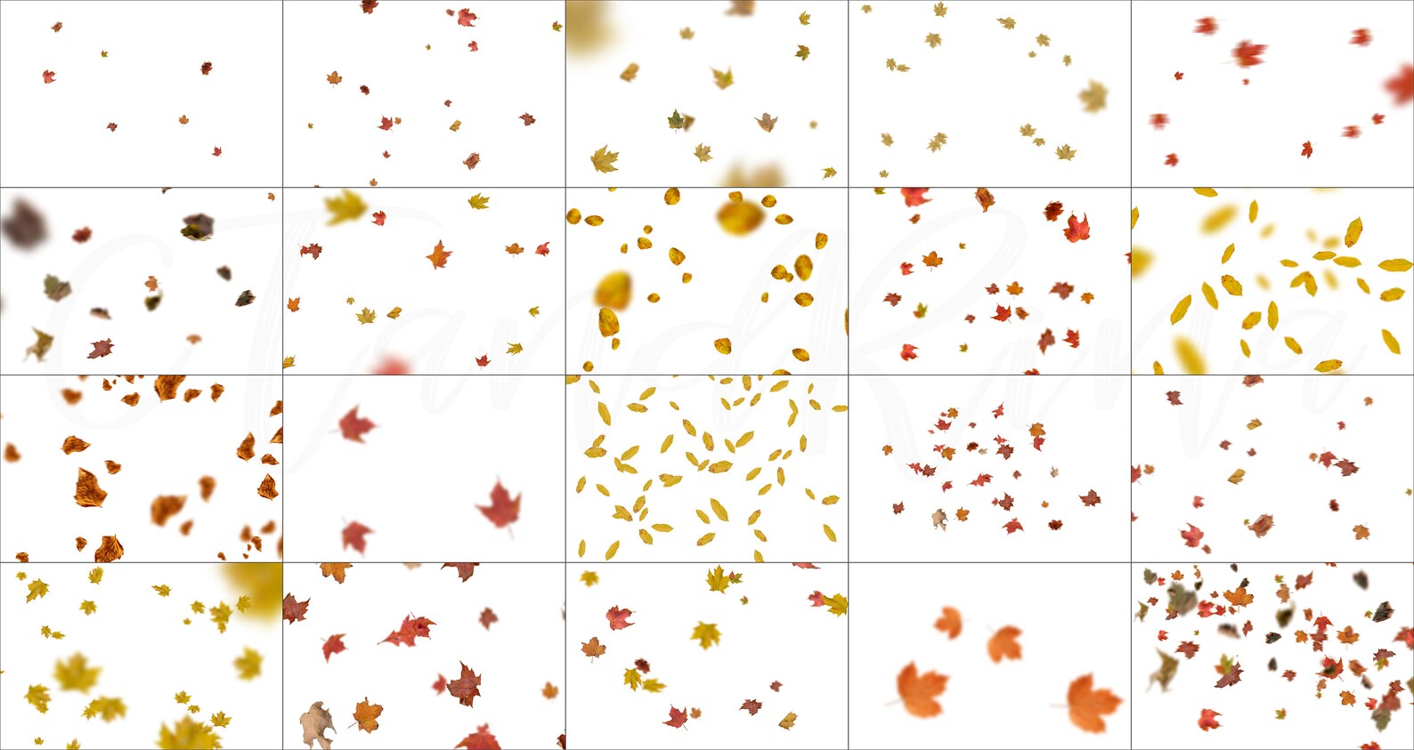 20 Falling Leaf Overlays Falling Autumn Leaves Flying Fall | Etsy