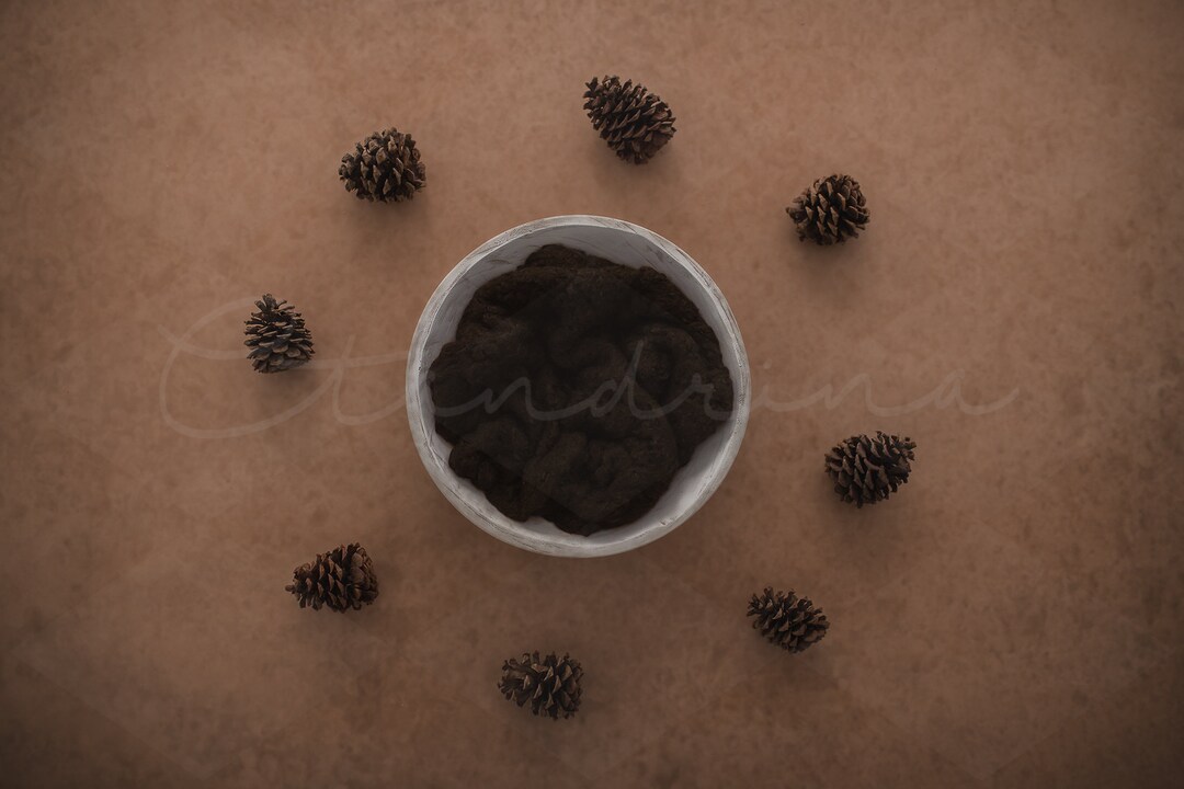 Pine Cone Newborn Digital Backdrop, Thanksgiving Newborn Digital ...