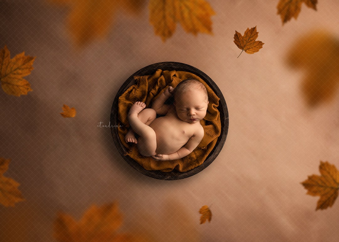 Fall Falling Leaves Newborn Digital Backdrop, Autumn Leaves Newborn ...