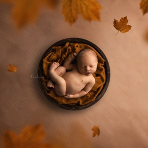 Fall Falling Leaves Newborn Digital Backdrop, Autumn Leaves Newborn ...