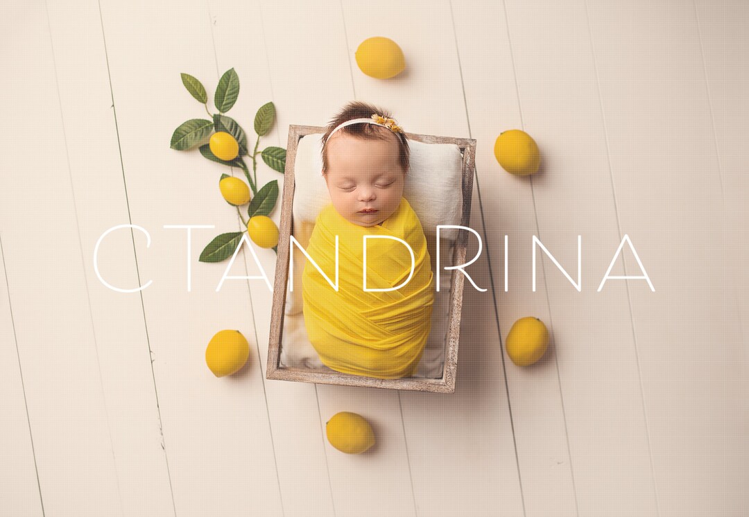 Lemon Newborn Digital Backdrop: Light Airy Summer Theme (JPG) - Etsy