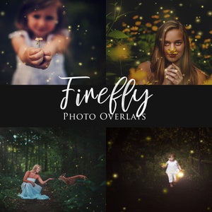Fireflies - Etsy