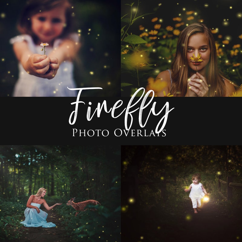 Firefly Wedding - Etsy