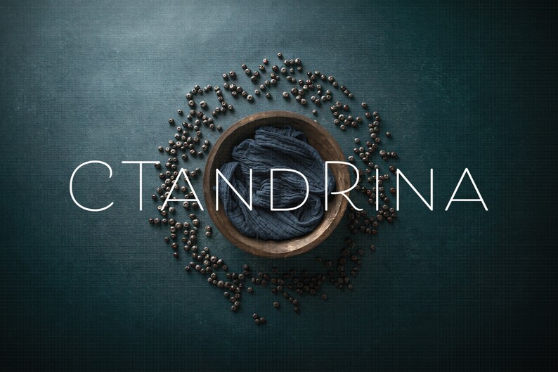 Blueberry Themed Newborn Digital Backdrops Berry 2 Pack | Etsy