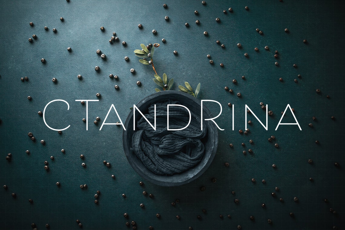 Blueberry Themed Newborn Digital Backdrops Berry 2 Pack | Etsy