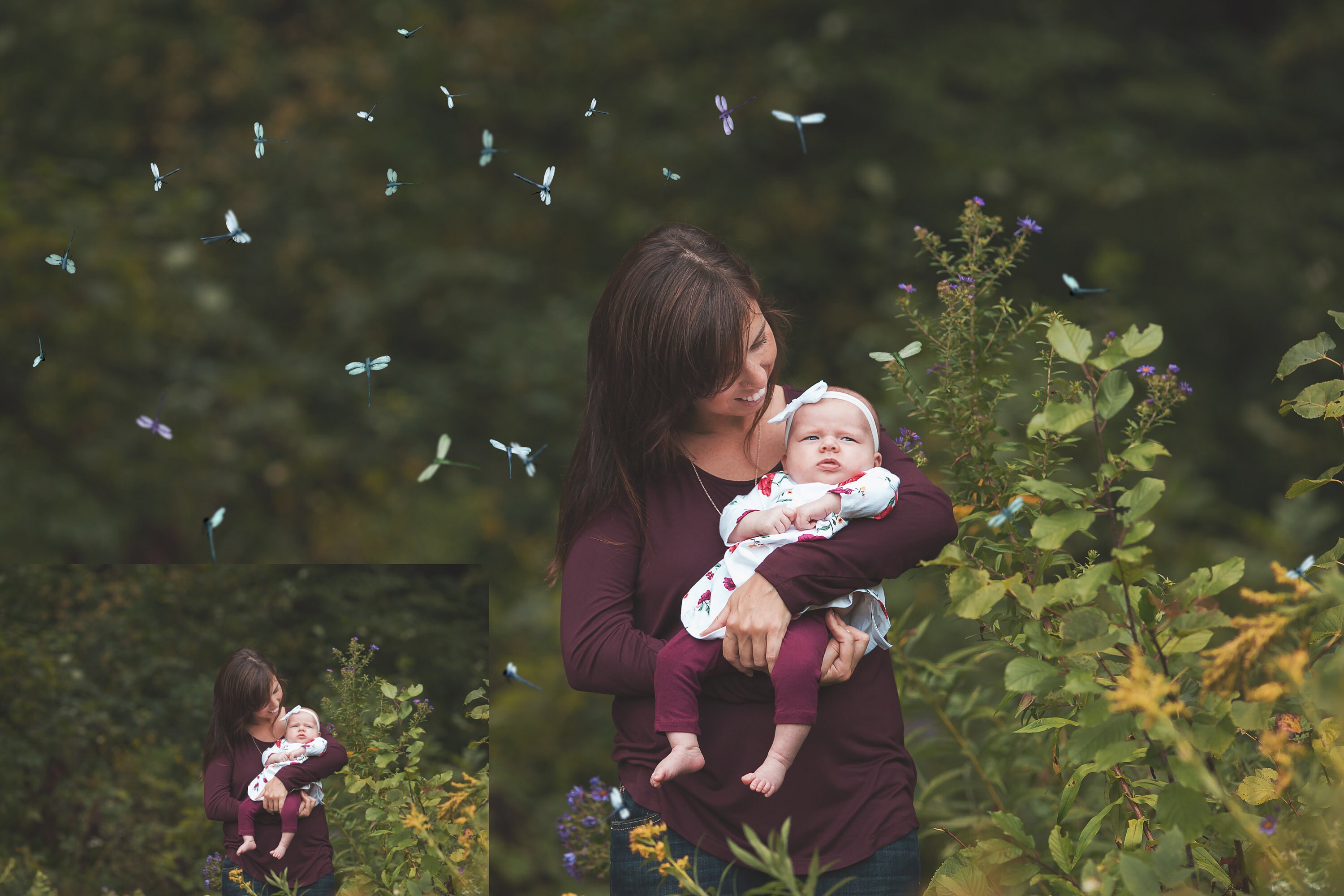 Dragonfly Overlays Insect Overlays Colorful Dragonflies | Etsy