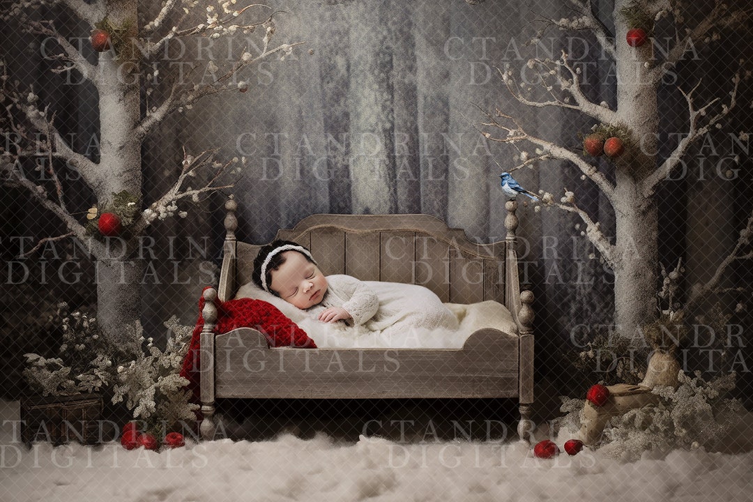 Winter Frosted Trees Newborn Backdrop: Blue Bird, Apples (digital) - Etsy