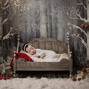 Winter Frosted Trees Newborn Backdrop: Blue Bird, Apples (digital) - Etsy