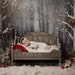 Winter Frosted Trees Newborn Backdrop: Blue Bird, Apples (digital) - Etsy
