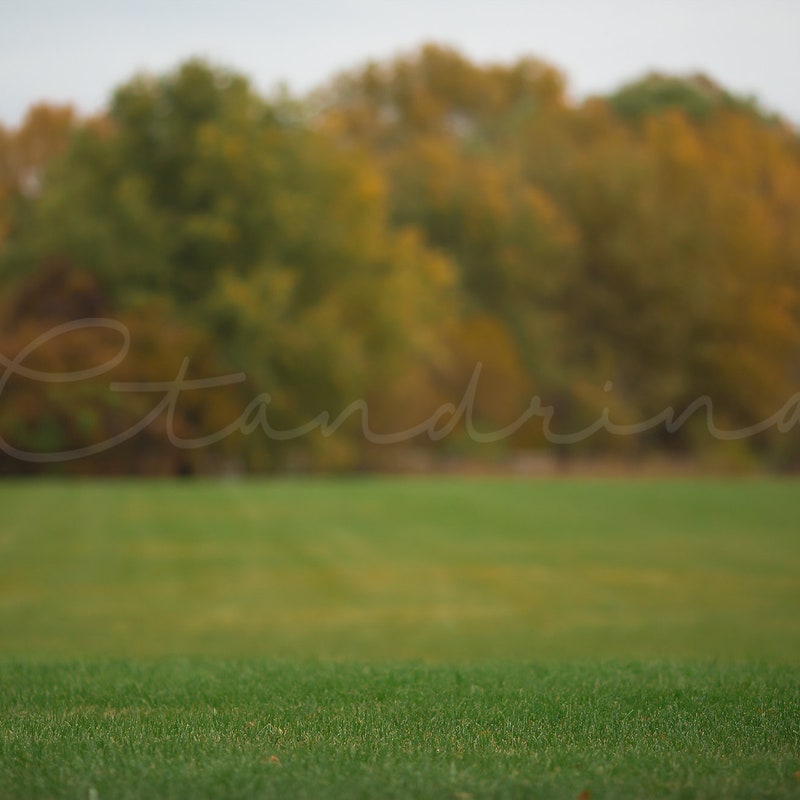 Farm in Fall Photography - Etsy