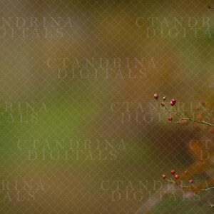 3 Hanging Berry Branch Digital Backdrops, Fall Digital Backgrounds ...