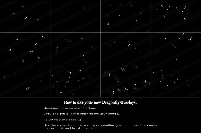 Dragonfly Overlays Insect Overlays Colorful Dragonflies | Etsy