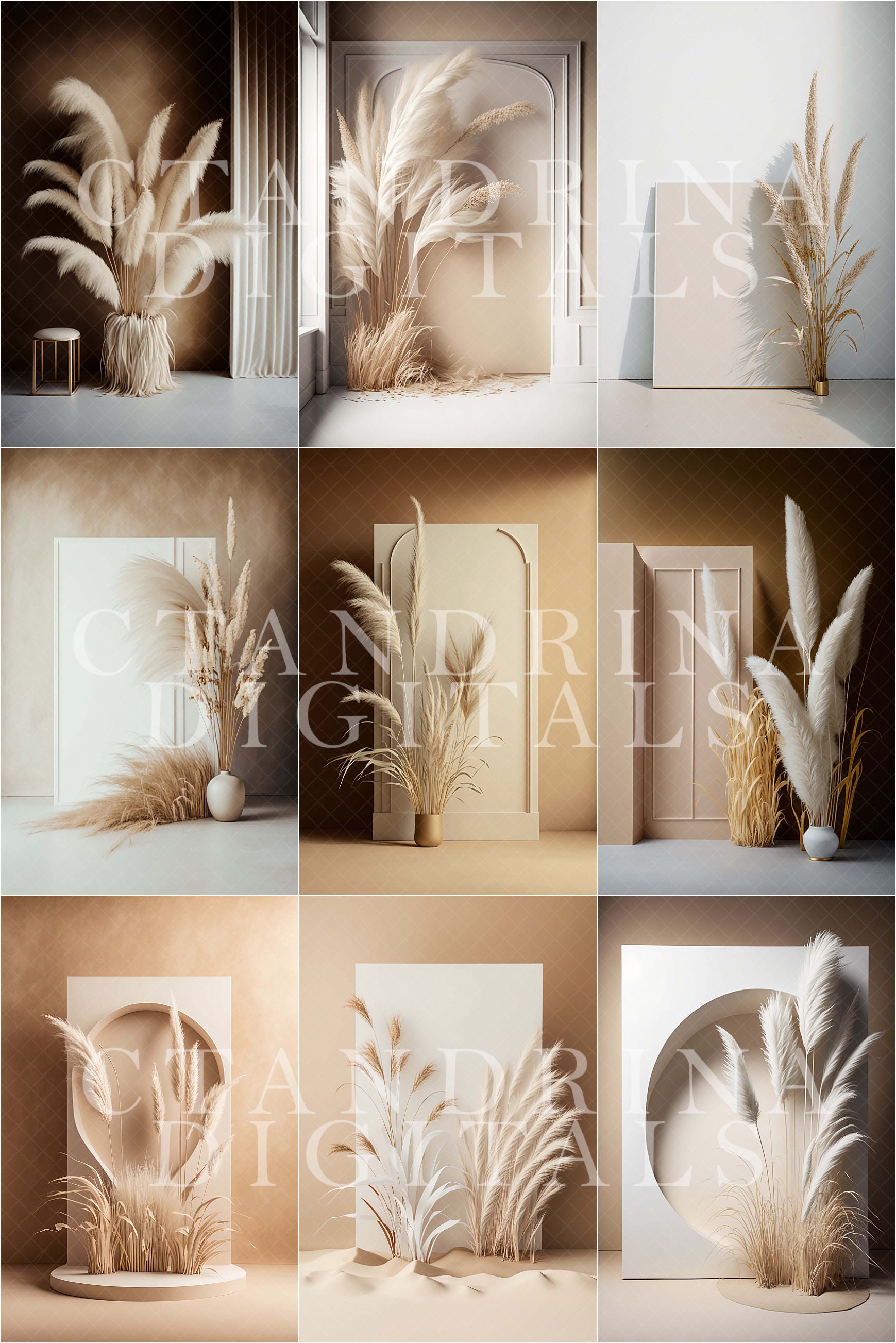 Summer Pampas Grass Digital Backdrops Studio Digital - Etsy UK