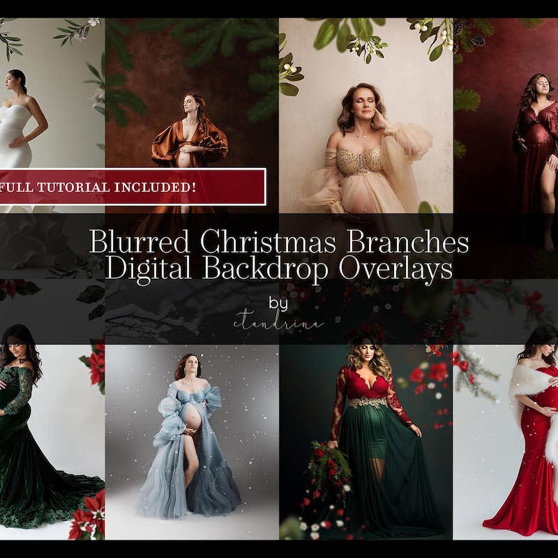 Overlay Plant Office - Etsy