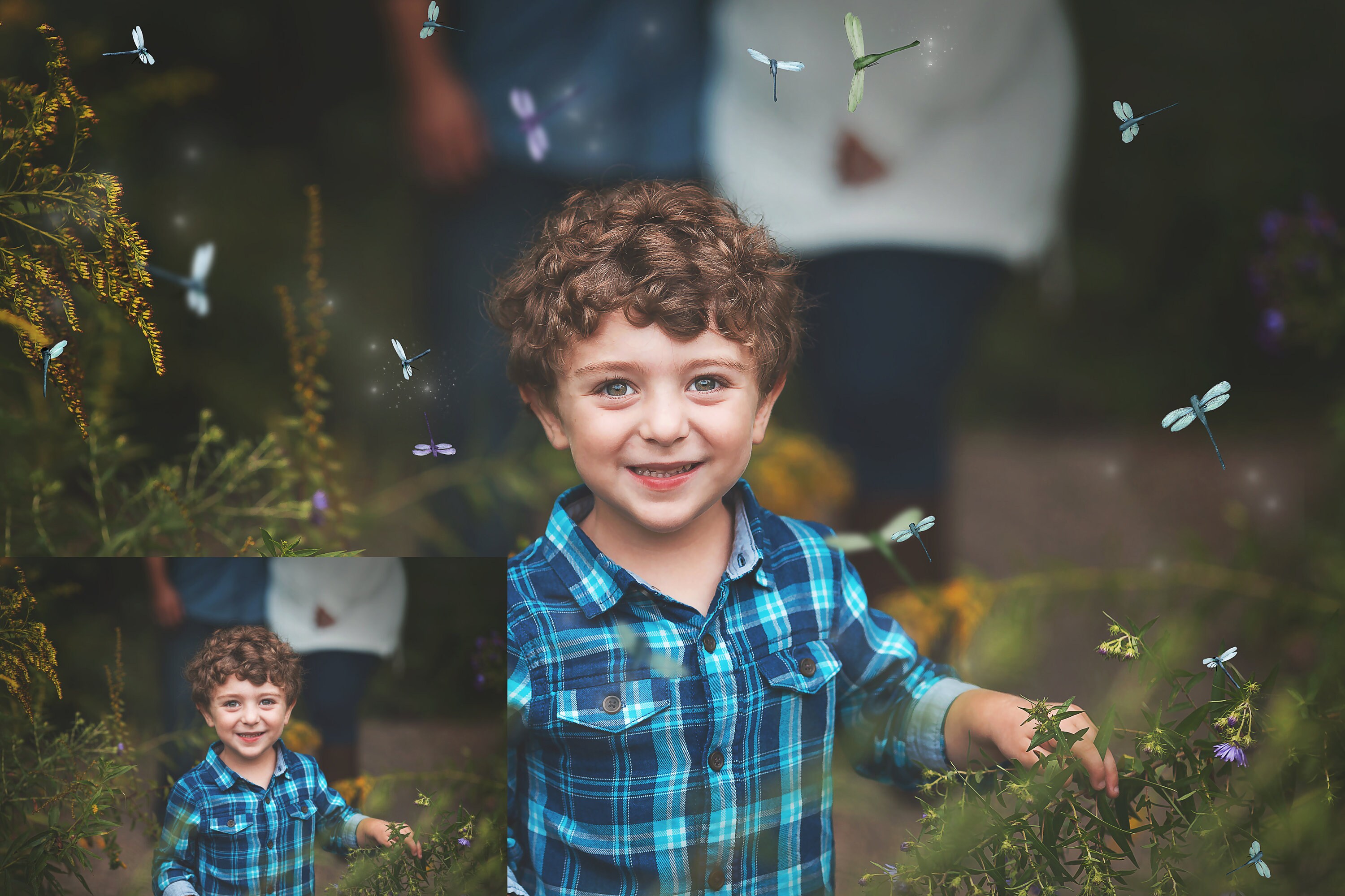 Dragonfly Overlays Insect Overlays Colorful Dragonflies | Etsy
