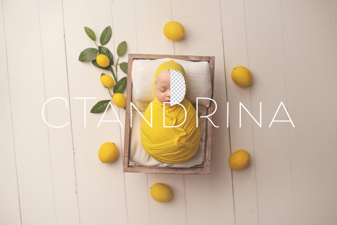 Lemon Newborn Digital Backdrop, Lemon Themed Newborn Digital Background ...