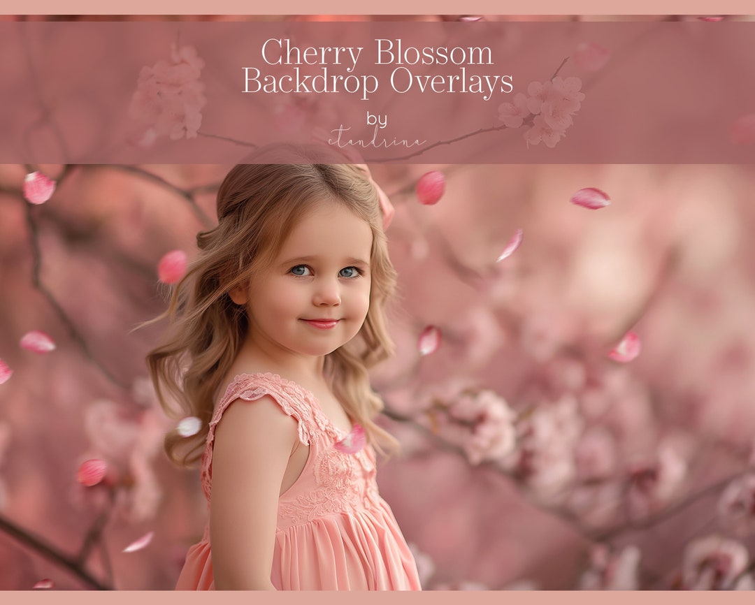 Cherry Blossom Petal Overlays, Pink Petal Overlay, Flower Petals for ...