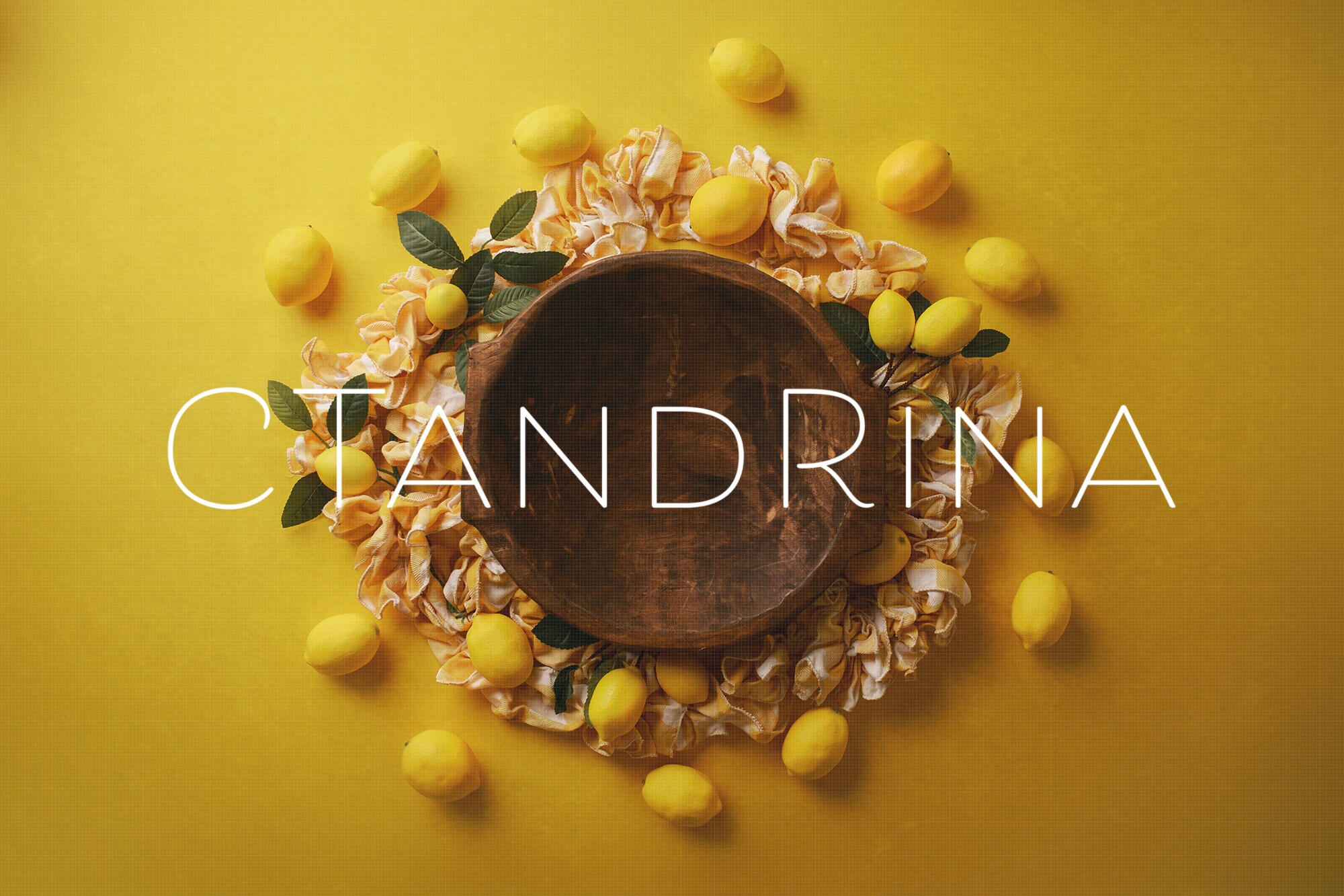 Lemon Themed Newborn Digital Backdrop Lemon Baby Backdrop 2 - Etsy