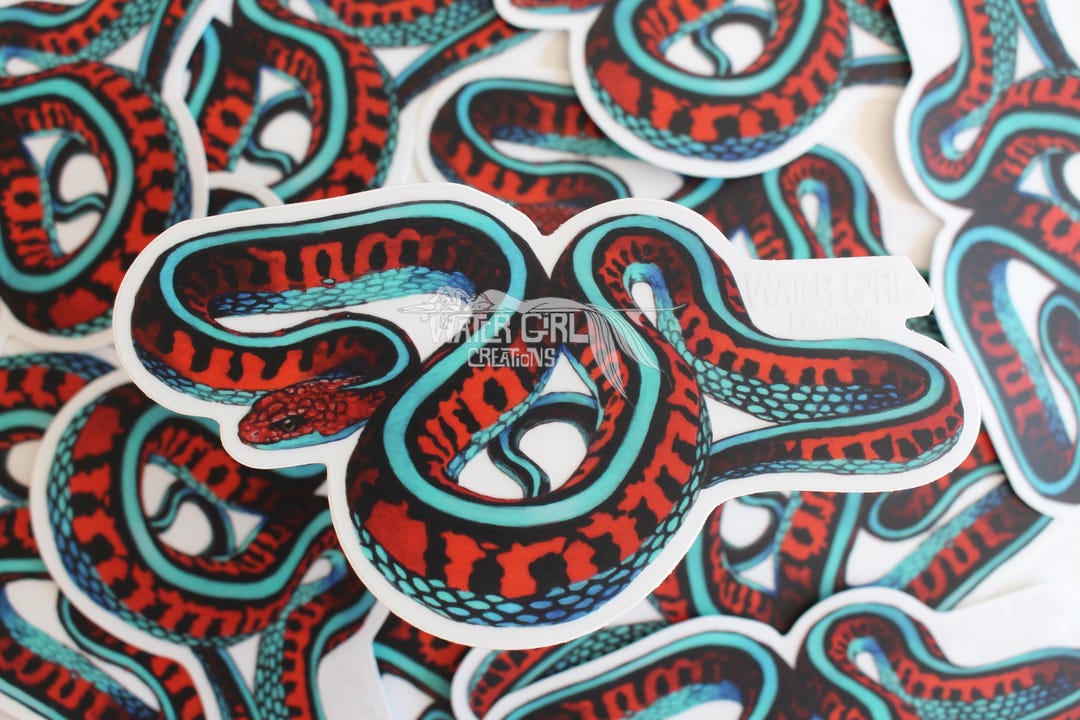 San Francisco Garter Snake- Clear Vinyl Sticker - Etsy