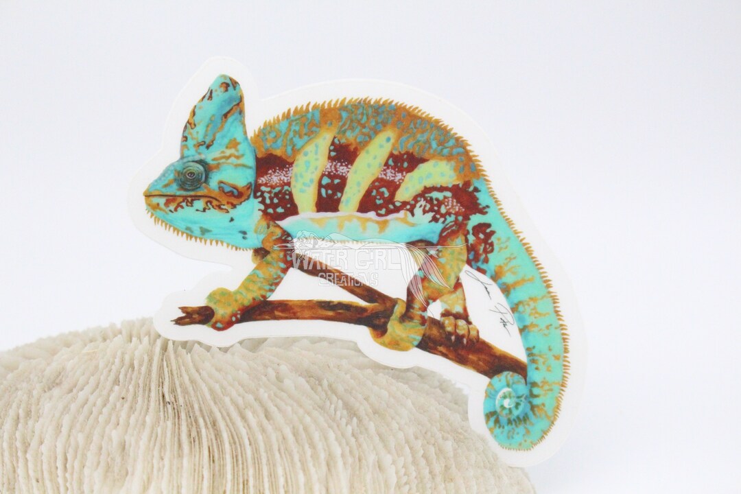 Clear Vinyl Veiled Chameleon Sticker - Etsy
