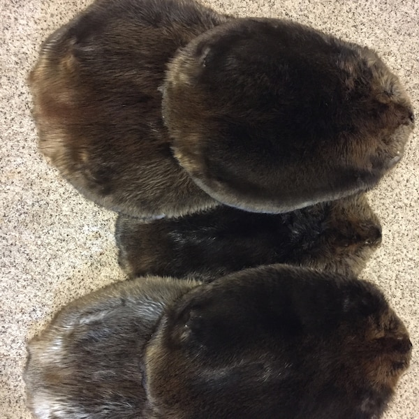 Beaver Pelt - Etsy