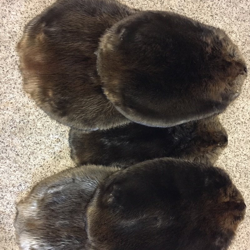 Beaver Pelt - Etsy