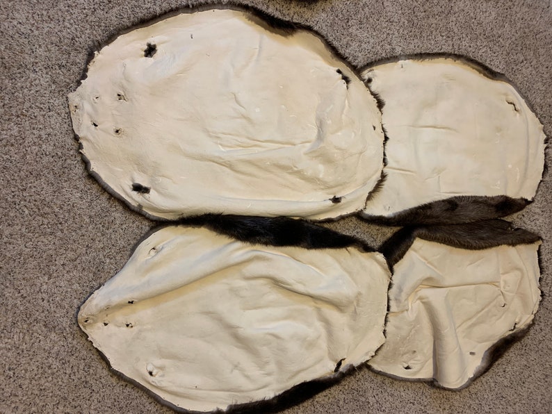 Northern Minnesota Beaver Pelt Soft/garment Tanned FREE - Etsy