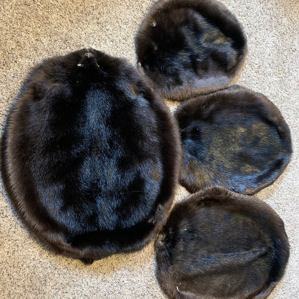 Beaver Pelt - Etsy