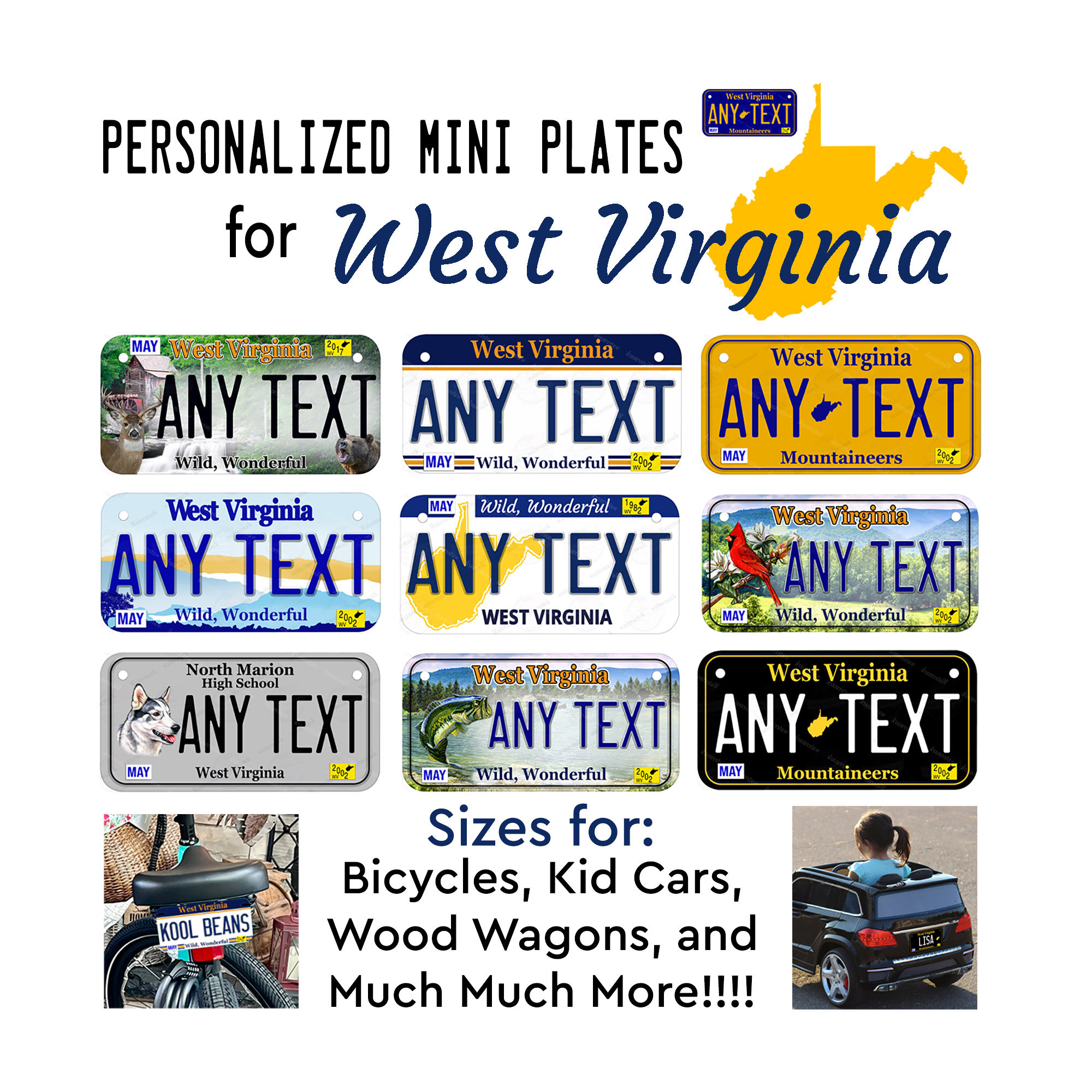 Virginia State License Plate