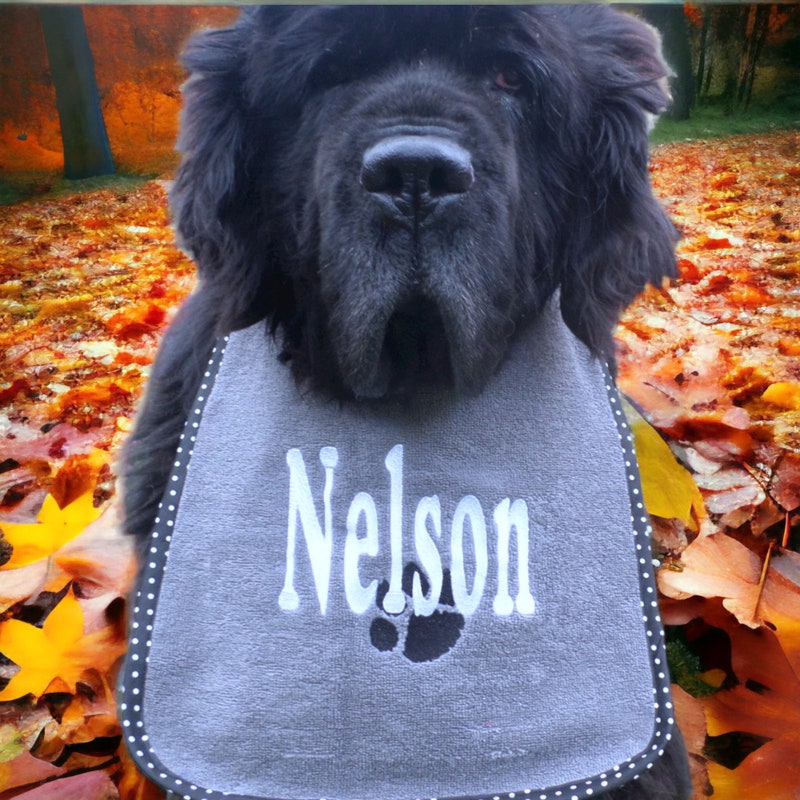Dog Drool Bib - Etsy