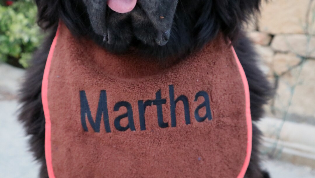 Dog Slobber Bib, 100% Personalized With Your Dog's Name, Bib Colour and ...