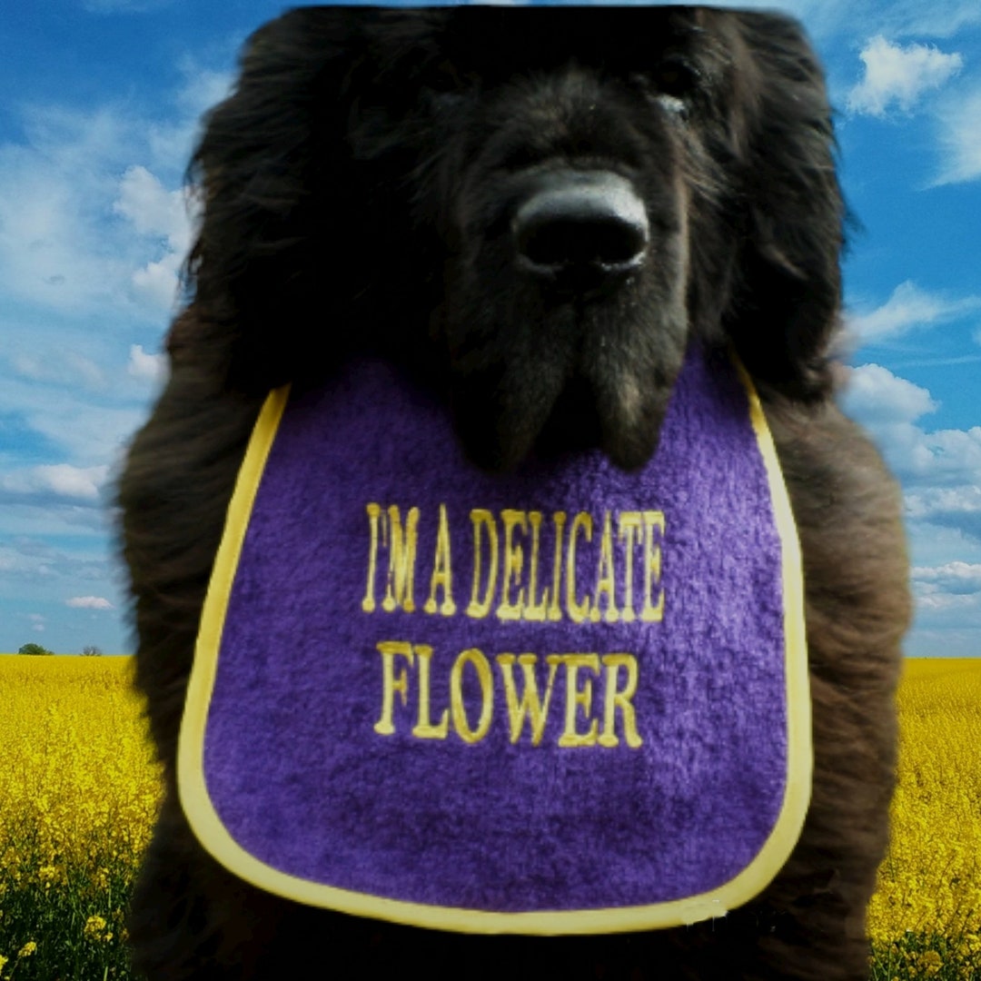 Drool Dog Slobber Bib With Personalized Name/nickname - Double ...