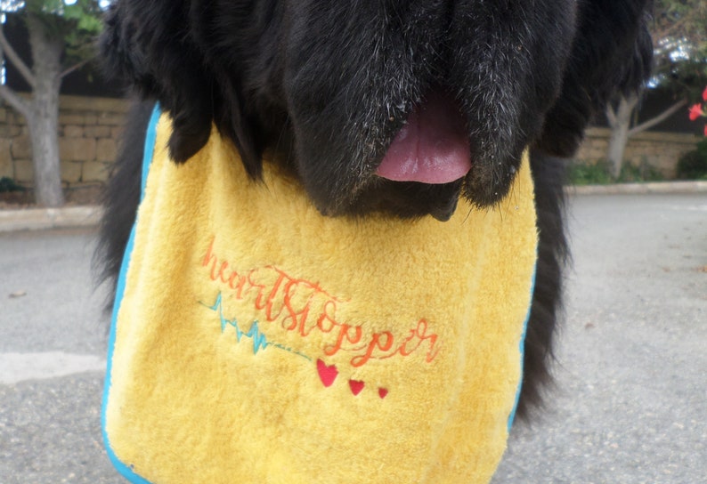 Dog Drool Bib - Heartstopper Design - Choose Your Own Colours - Super ...