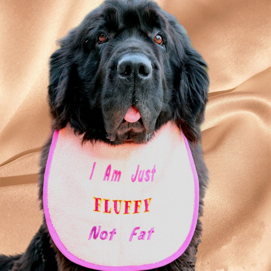 Personalized Dog Drool Bib, Super Absorbent With Waterproof Material ...