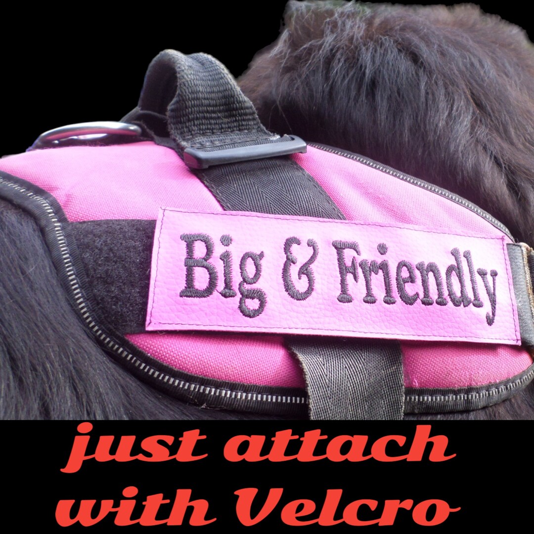 Personalized Dog Harness Labels: Waterproof K9 Velcro Patches (pair) - Etsy