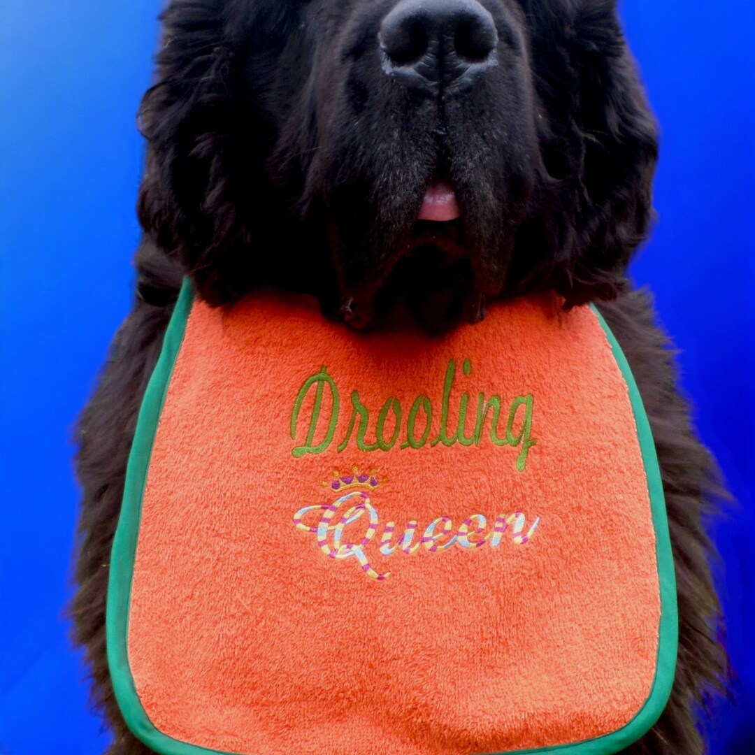Personalized Dog Bib: Embroidered 'drooling Queen/king', Waterproof ...