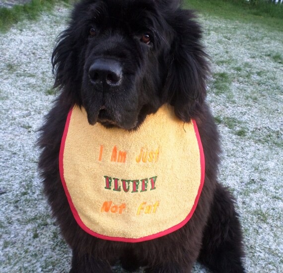 Personalized Dog Drool Bib Super Absorbent With Waterproof - Etsy